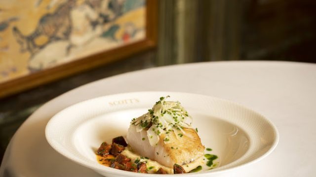 مطعم سكوتز Scott's فيا الرياض (الأسعار + المنيو + الموقع ) - كافيهات و ...