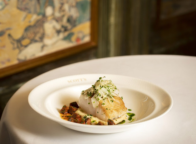 مطعم سكوتز Scott's فيا الرياض (الأسعار + المنيو + الموقع ) - كافيهات و ...